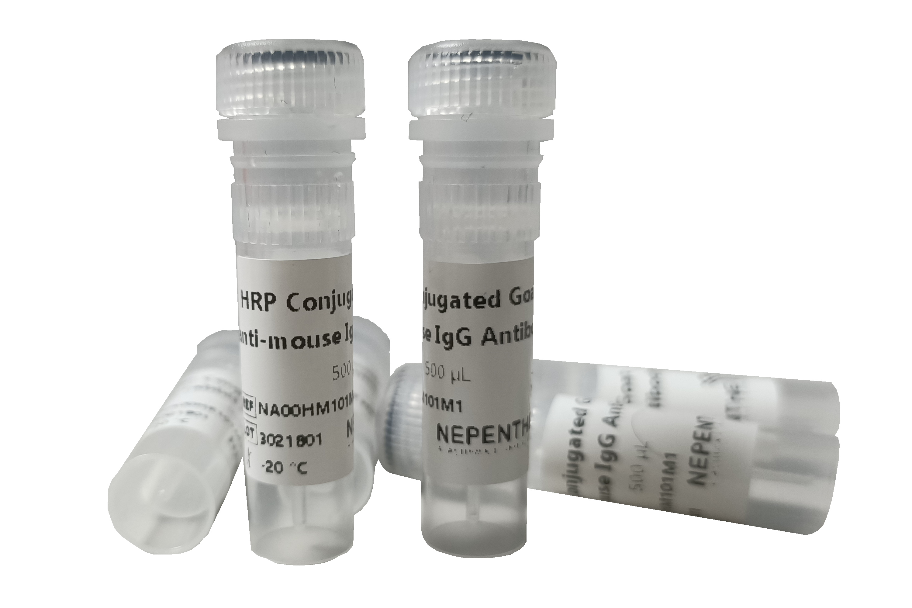 Purified Goat anti-rabbit IgG Secondary Antibody - Nepenthe