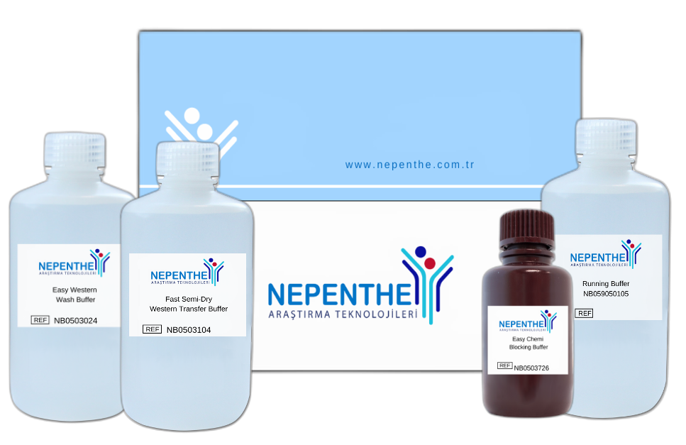 Rapid Bright Buffer Pack - Nepenthe