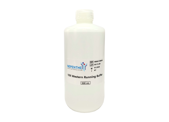 Western Running Buffer, 10X - Nepenthe