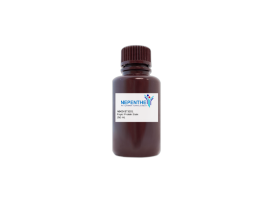 Rapid Protein Stain - Nepenthe