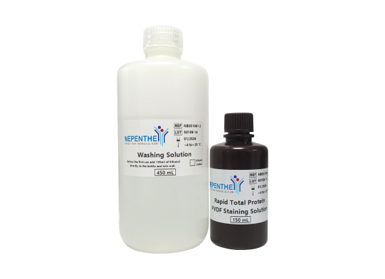 Rapid Total Protein Staining Kit - Nepenthe